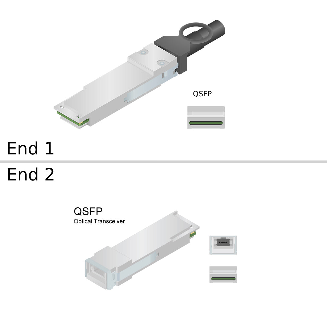 QSFP28 / MPO - ECS
