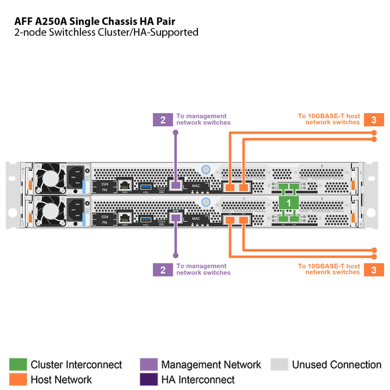NetApp AFF-A250 Dual Controller All FLash Filer Head (HA) - ECS