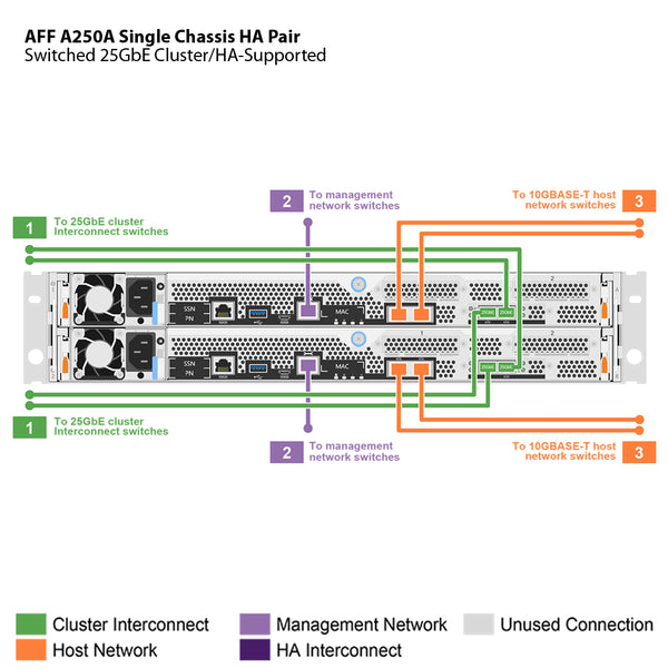 NetApp AFF-A250 Dual Controller All FLash Filer Head (HA) - ECS