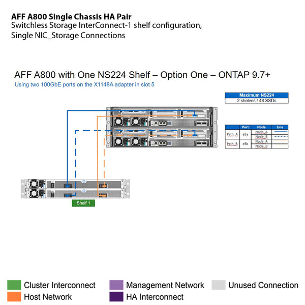 NetApp AFF-A800 Dual Controller Filer Head (HA) - ECS